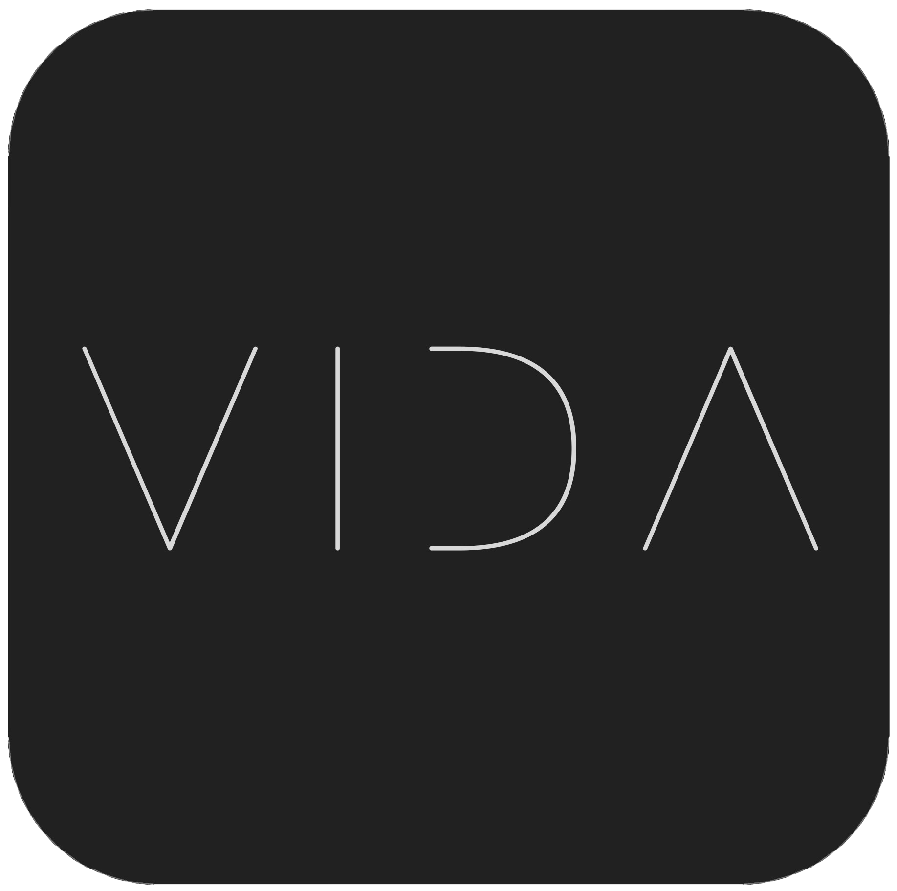 Vida Strategic Solutions - ENVISIONING TOMORROW
